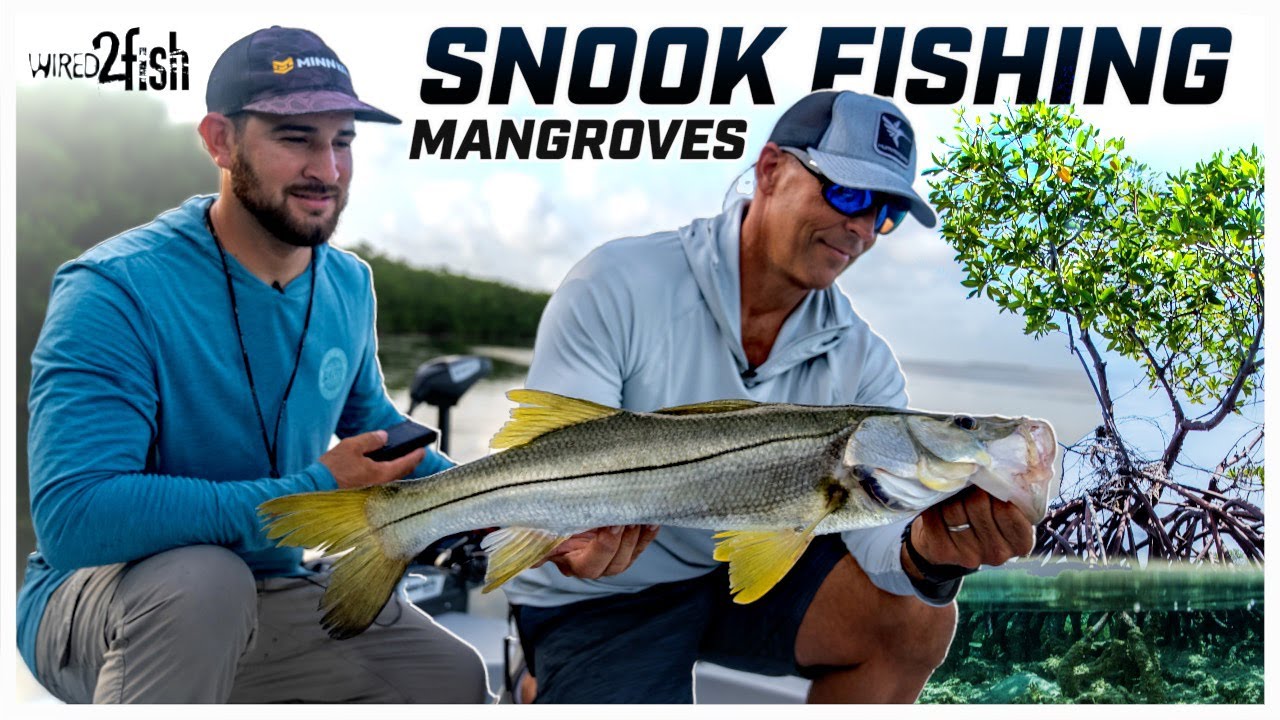 How to Fish for Snook | Inshore Boat Fishing Basics - YouTube