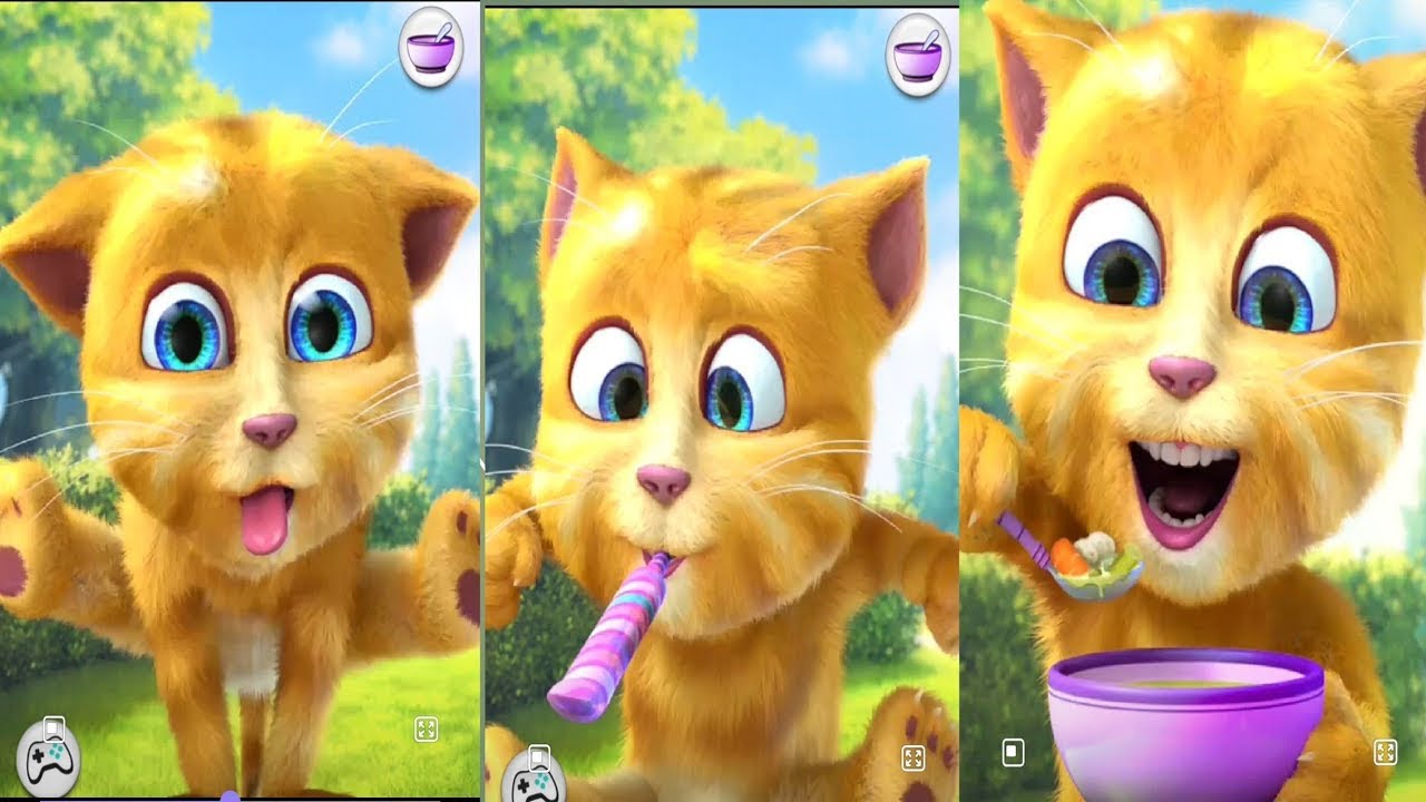 Talking Ginger Gameplay 🐱 - YouTube