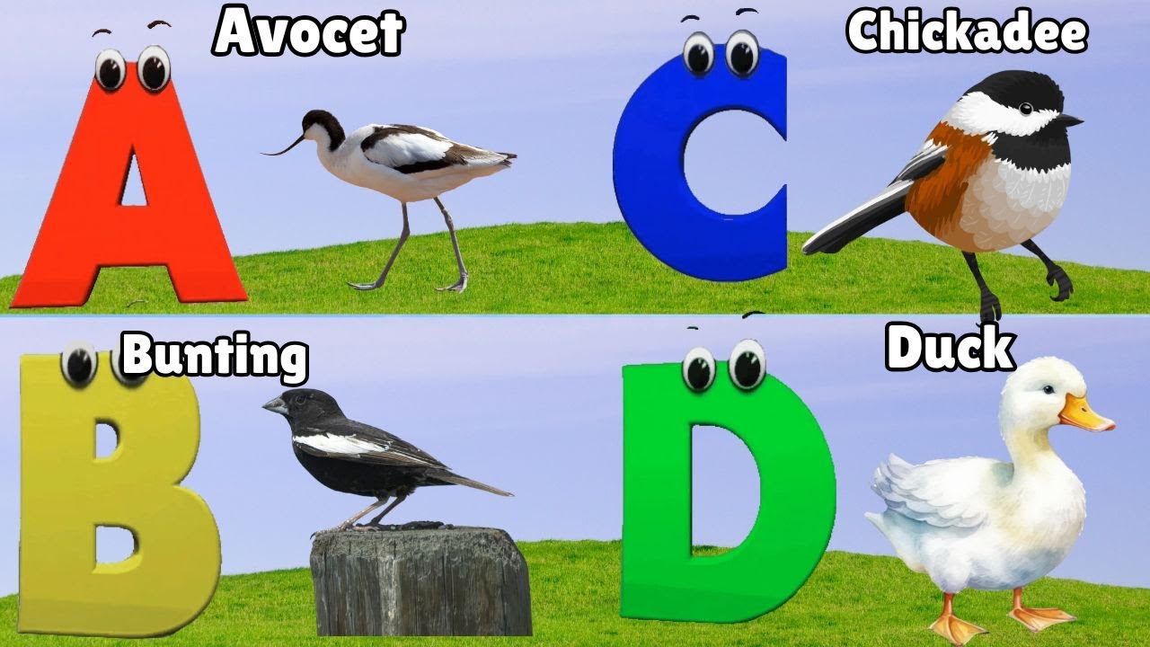 ABC Song | Birds ABC Song | Phonics for Kids, Learn ABC, Baby Alphabet ...