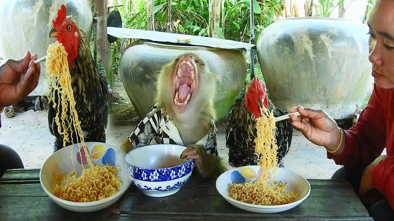 Great Video Of ToTo Eating Noodles Even SokYaa No Need - YouTube