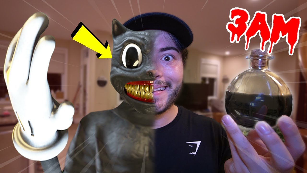 Ordering Cartoon Cat Potion From The Dark Web At 3am He Came To Our