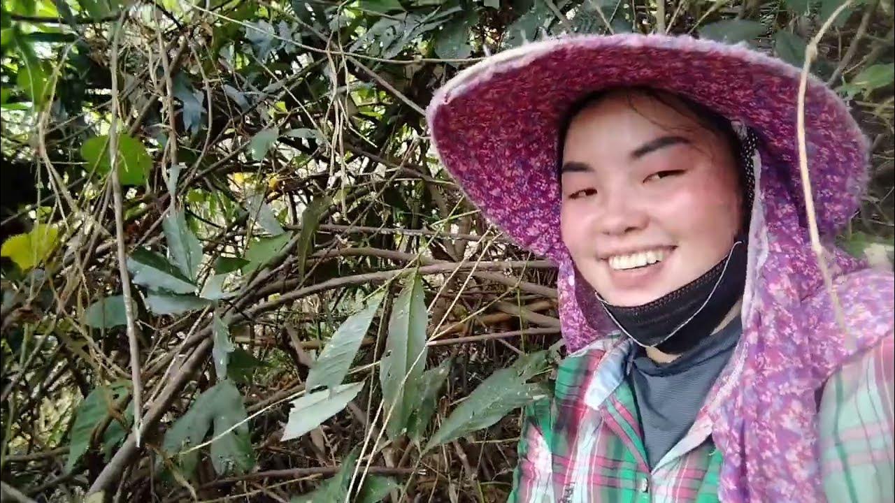 Luaj teb tau peb hnub no mas tsis zoo li siab xav sab tag tag li 14/3/2023 - YouTube