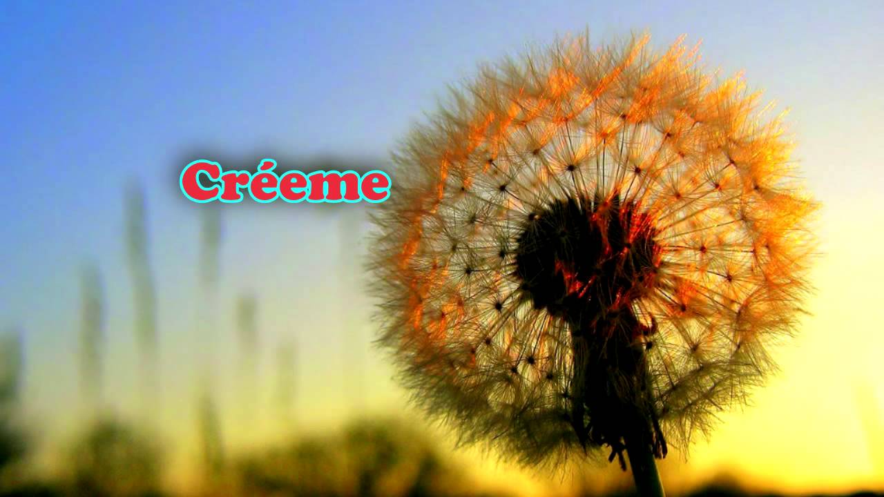 Endlessly The Cab (Letra Subtitulada en Español) - YouTube