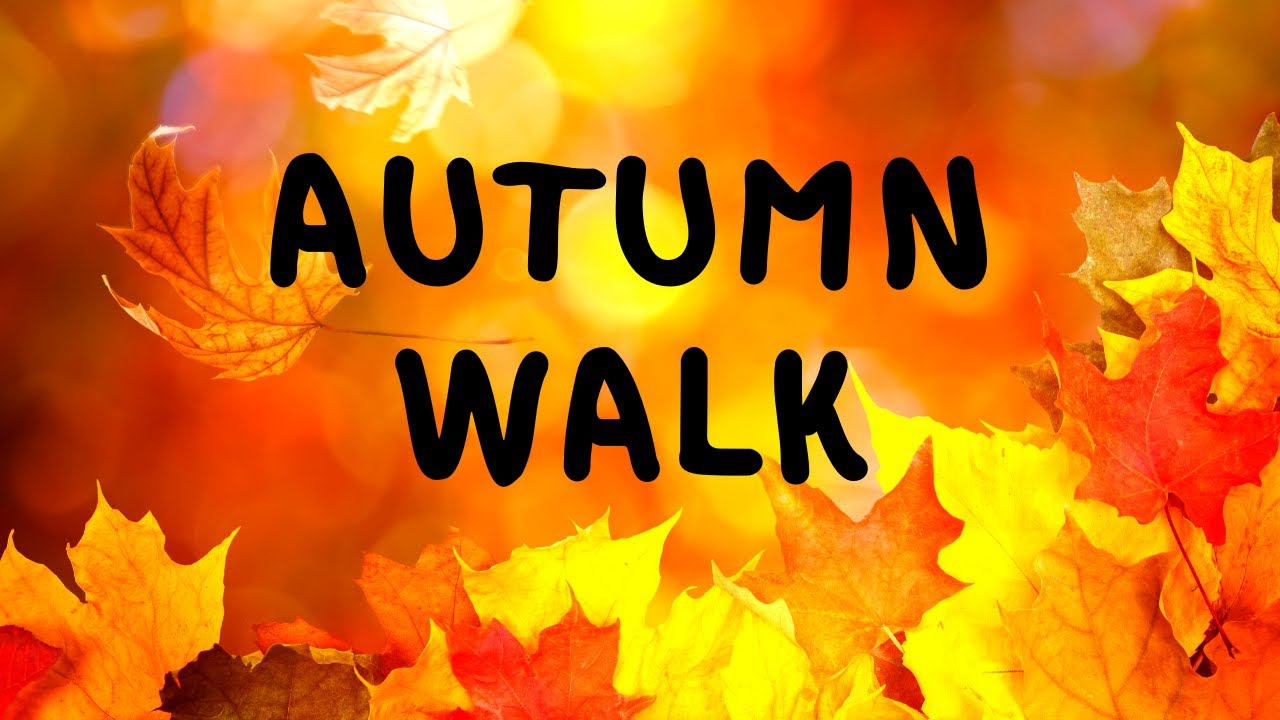 Autumn Walk| 30 Minute Walking Workout - YouTube
