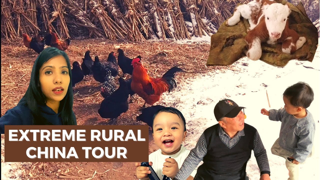 Extreme rural China tour | Farmhouse of relatives | Indian in China ...