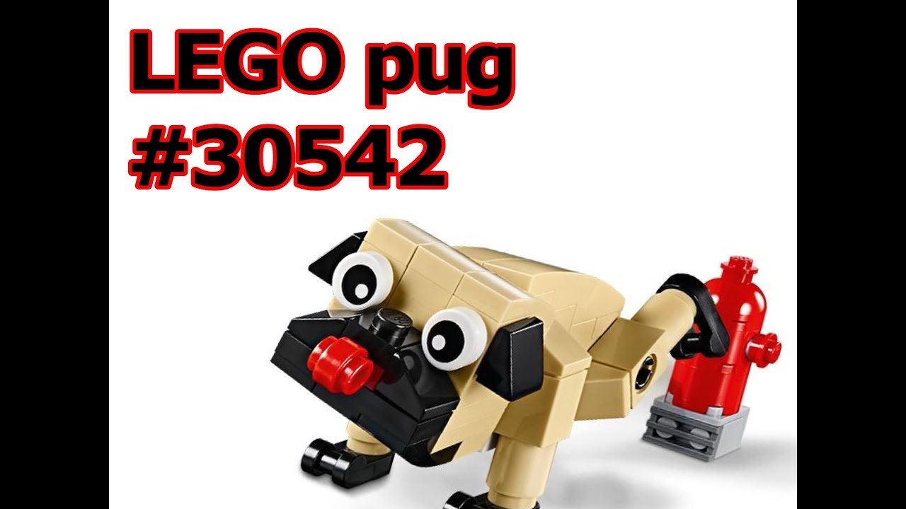 COOL! LEGO SPEED BUILD! Set #30542 Cute Pug! LEGO - YouTube