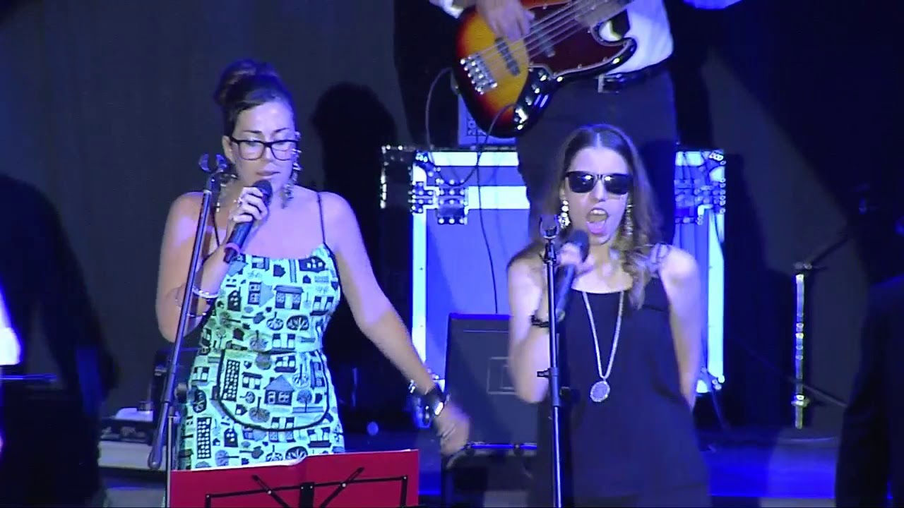 RISUONI 2017 - JOE MARIANI BAND - tributo ai BLUES BROTHERS - YouTube