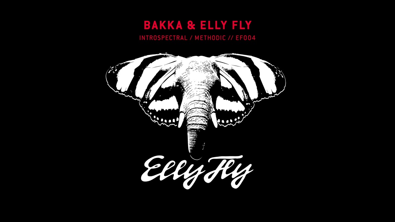 BAKKA (BR) & Elly Fly - Methodic - YouTube