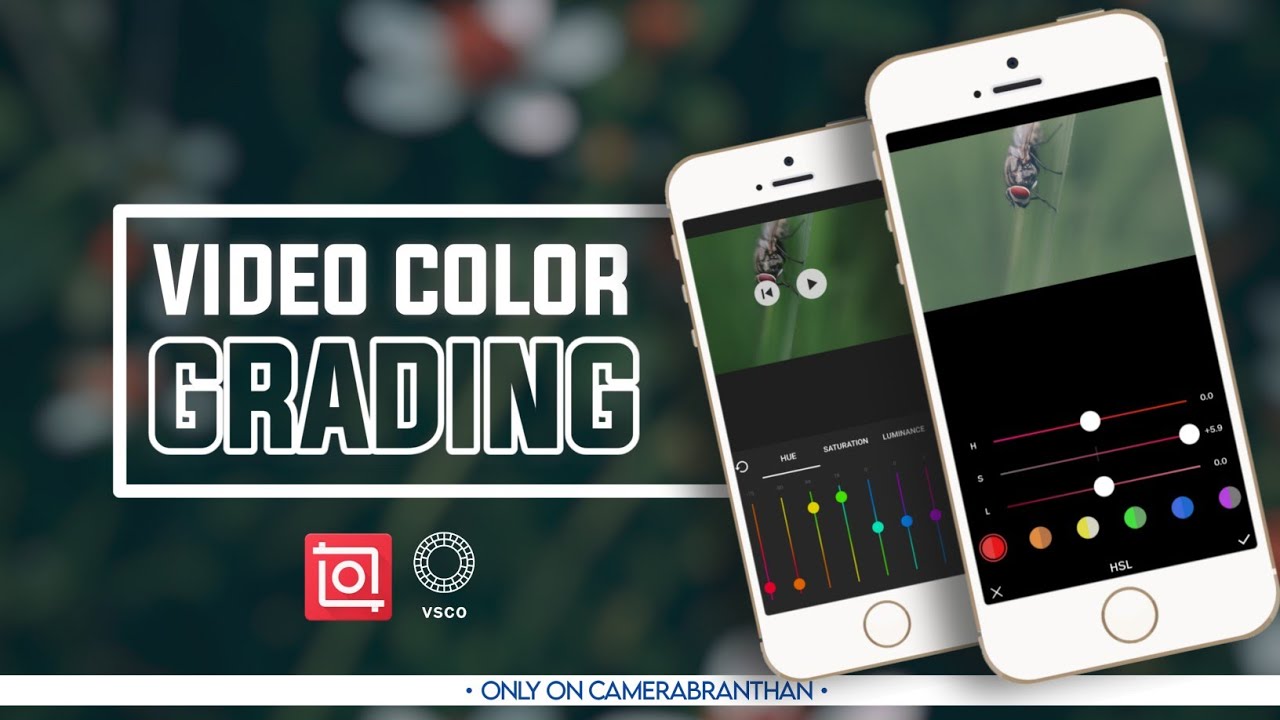 PROFESSIONAL VIDEO COLOR GRADING IN MOBILE |inshot pro|vsco|malayalam ...