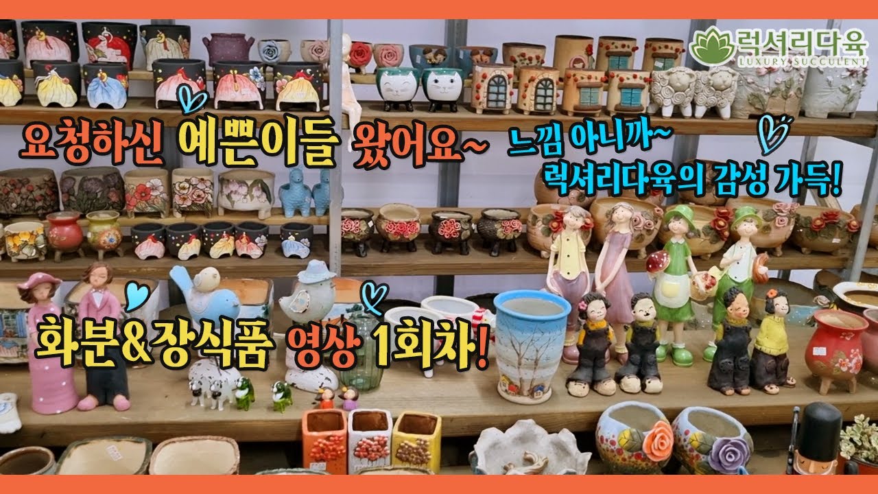 감성 가득 다육화분 플랜테리어에 딱 좋은 장식품까지 화분and 장식품 영상 1회차 럭셔리다육 안성 화분판매 다육화분