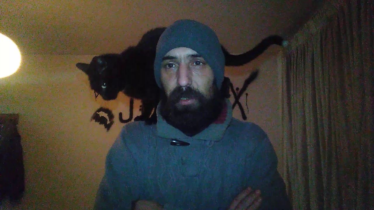 Beatbox cat - YouTube