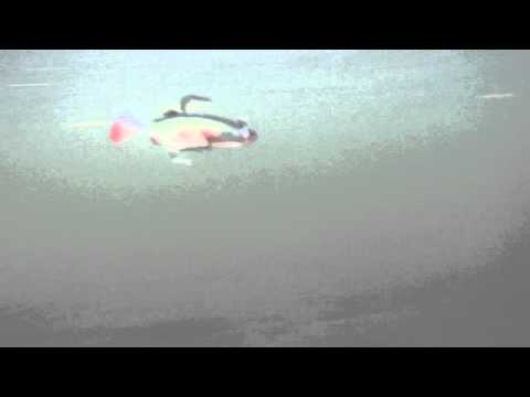 96906 Kogha True Nature Shads
