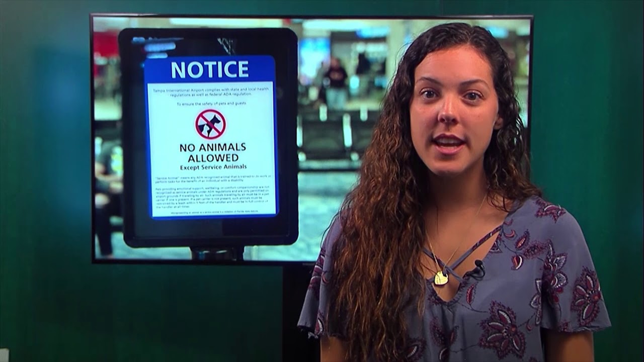 The John Jonchuck Murder Trial Begins, Hallmark Movie and New Pet ...