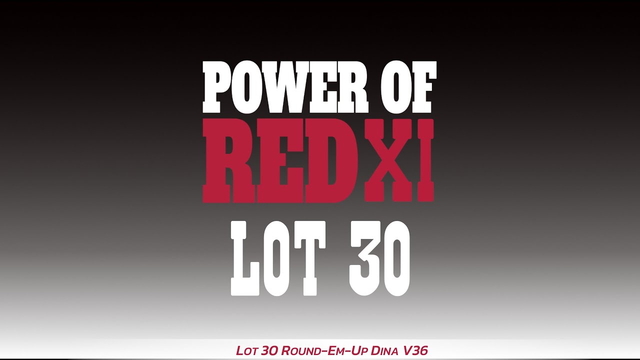 Lot 30 Round Em Up Dina V36 - YouTube