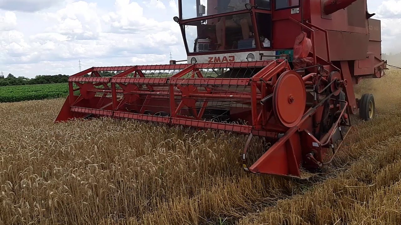 Zmaj 142 - YouTube