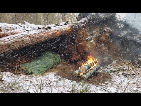 Shelter unter Baumstamm und Wurzeln mit Nodja-Feuer. Solo Bushcraft Survival