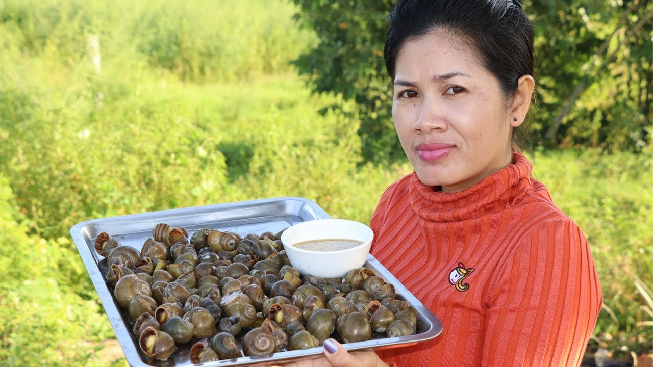 Cooking Steamed Snail Delicious Recipe Cook Snail Recipes Village Food Factory Youtube