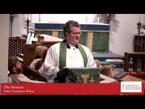 What You Sow Does Not Come To Life Unless It Dies - Sermon by Father ...