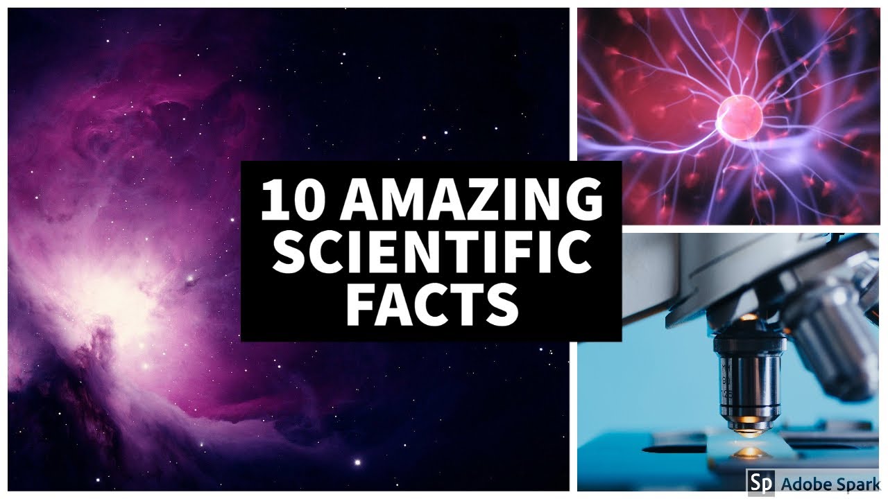 10 Amazing Scientific Facts Wanna Know YouTube 10 Amazing Scientific Facts Wanna Know YouTube