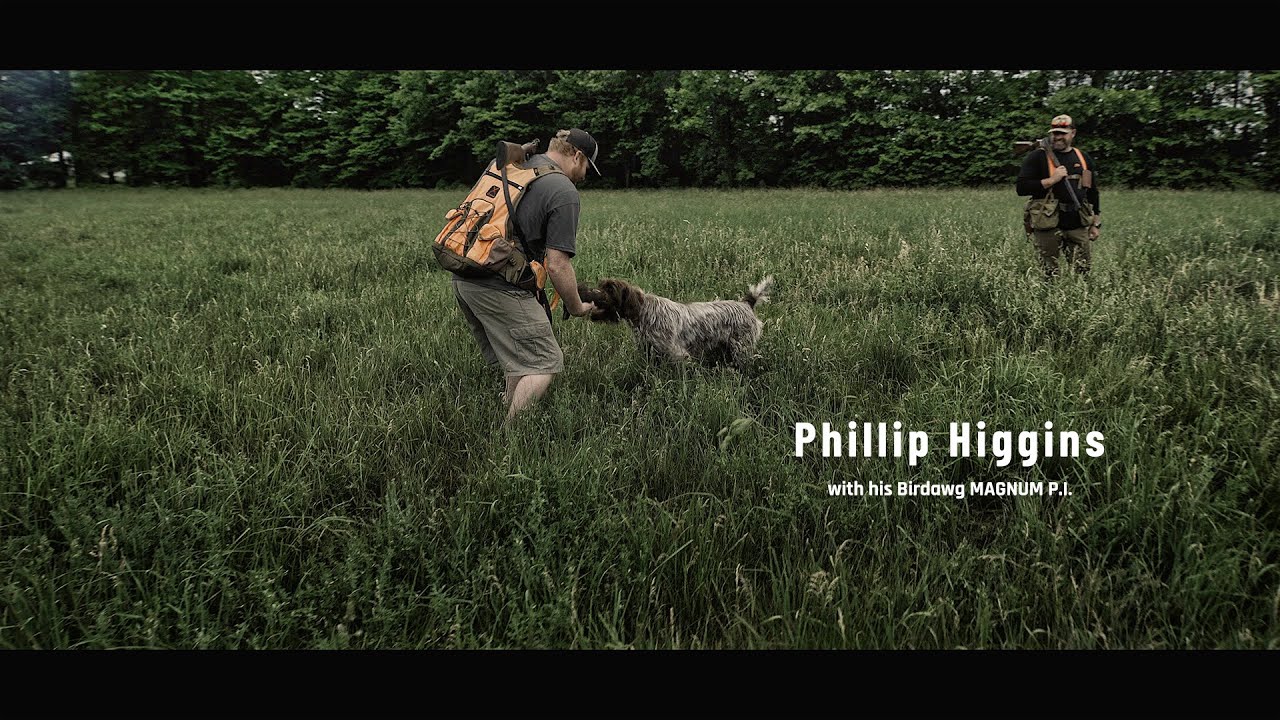 NAVHDA - Northern Michigan Training Grounds - Phillip Higgins with his ...