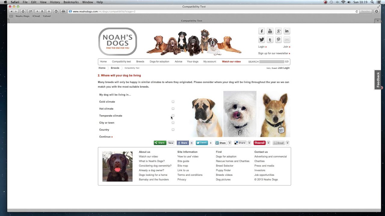 HOW TO - Take Noah's Dogs Compatibility Test - YouTube