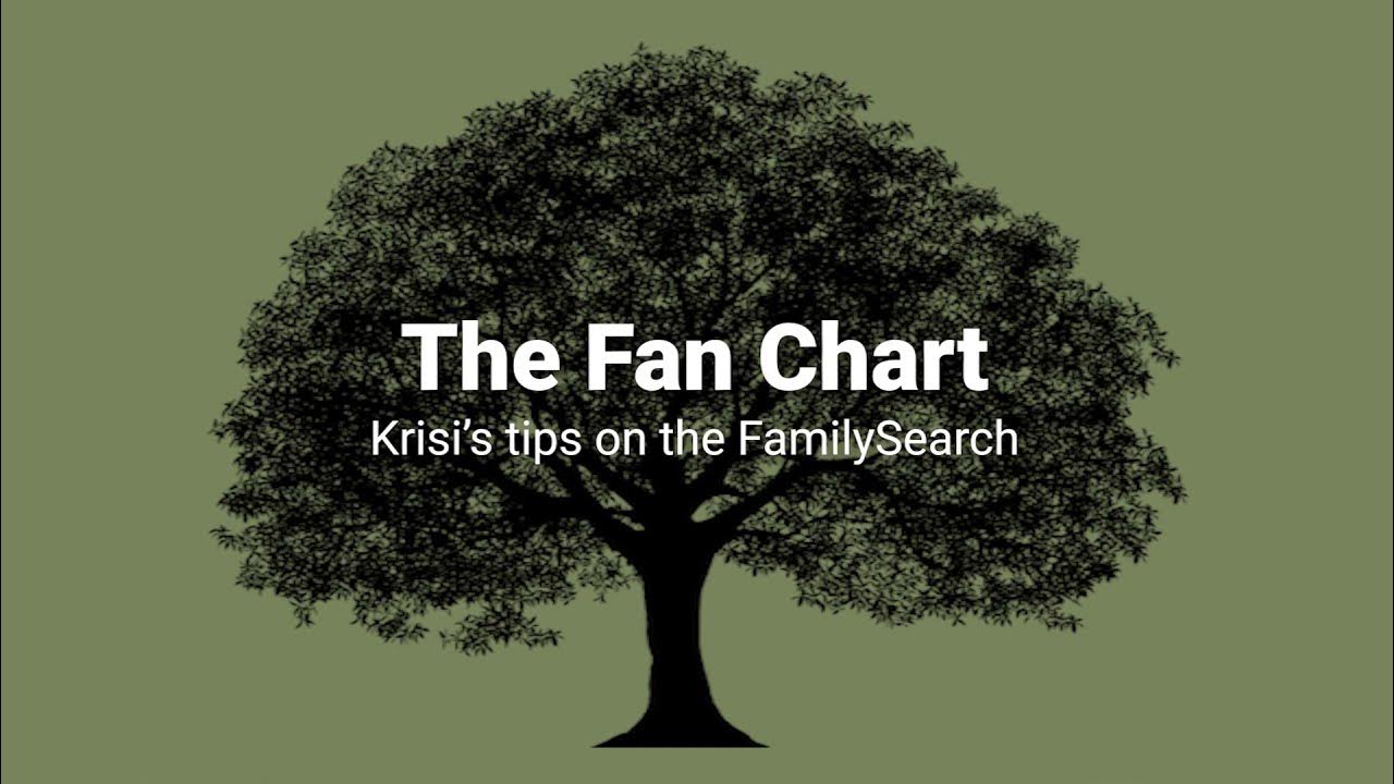 Fan Chart on FamilySearch - YouTube