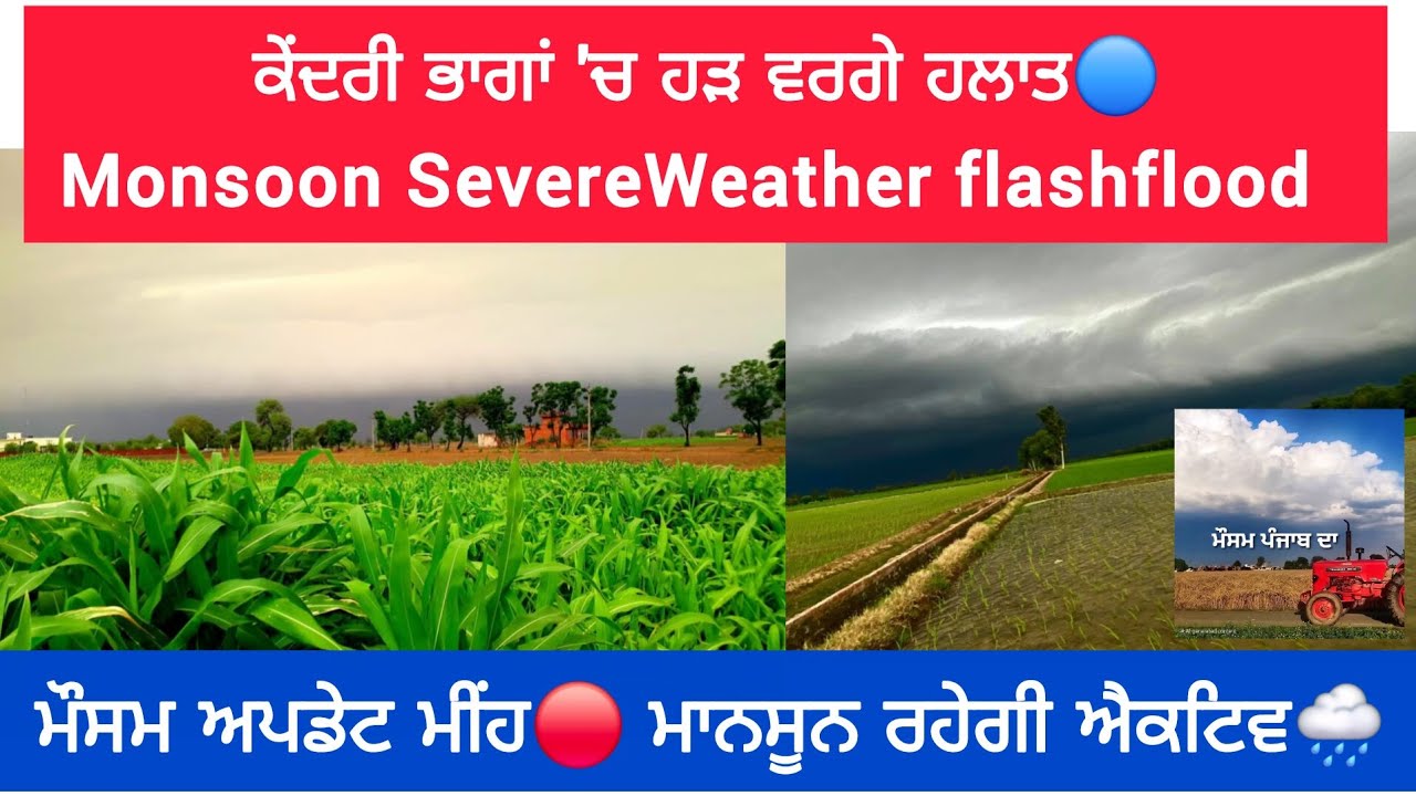 WeatherForecast ਮੀਂਹ🔴 ਅਪਡੇਟ Active Monsoon ਕੇਂਦਰੀ ਭਾਗਾਂ 'ਚ ਹੜ ਵਰਗੇ ਹਲਾਤ ...