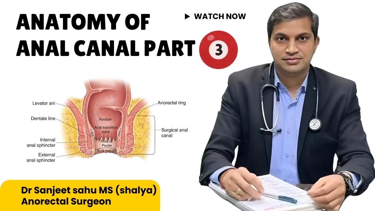 Anal Canal Anatomy Part 3 | Internal Anal Sphincter Function & Clinical ...