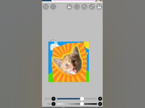 симба тигр #симба#симбочка#тигр#shorts - YouTube
