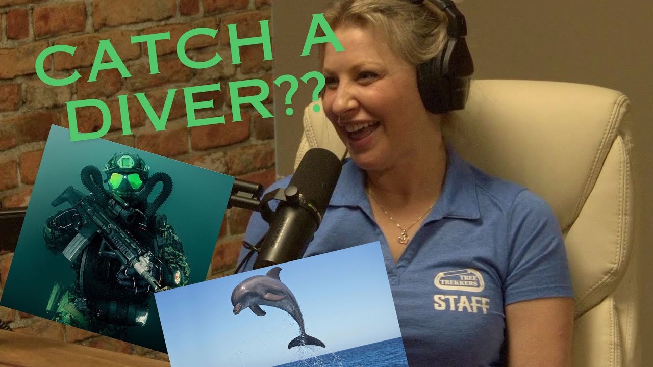 How to Catch a Diver with a DOLPHIN - YouTube