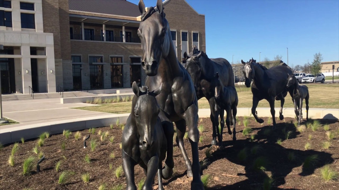 SAVMA SYMPOSIUM 2017 REGISTER NOW - YouTube