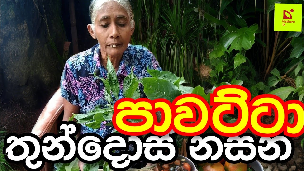 beheth pala pawatta #Medicinal plants - YouTube
