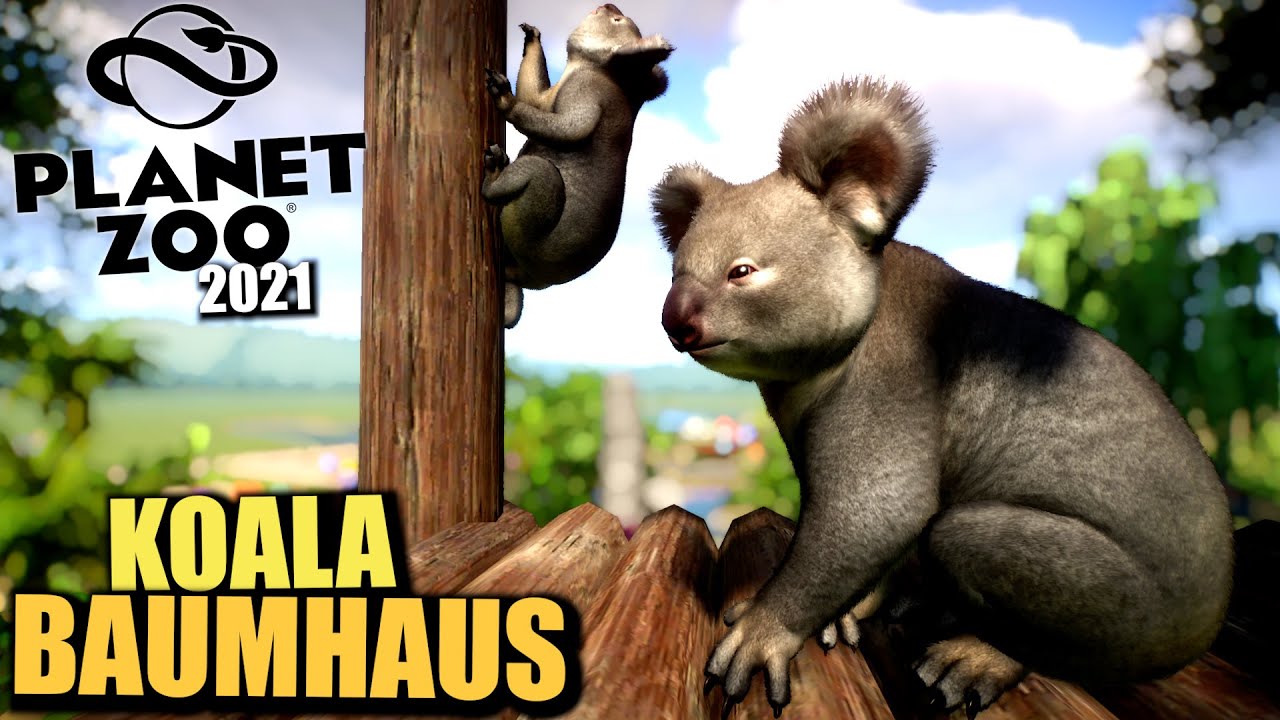 Planet Zoo 2021 - Koala Baumhaus - 3 - YouTube