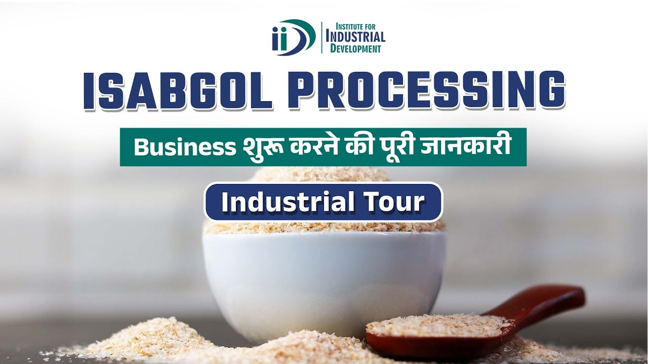 Psyllium Husk Processing Business | Isabgol Processing Business | New ...