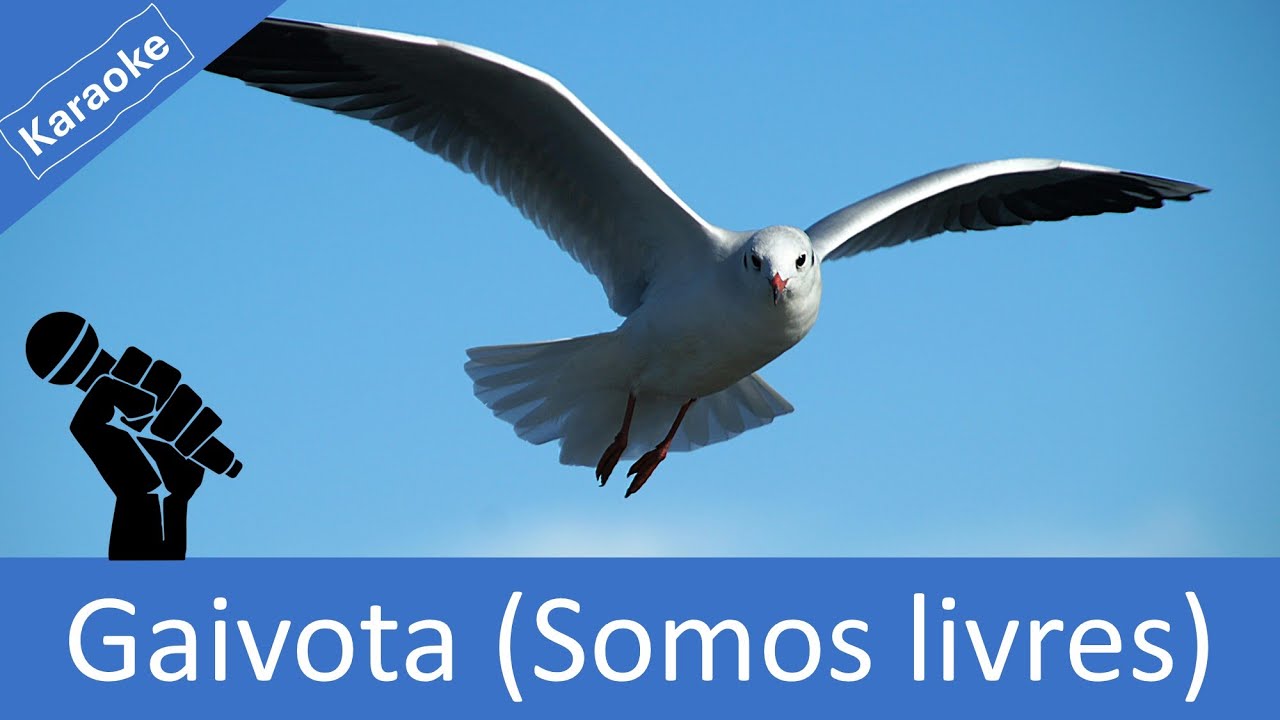 Gaivota (Somos livres) - Ermelinda Duarte - YouTube