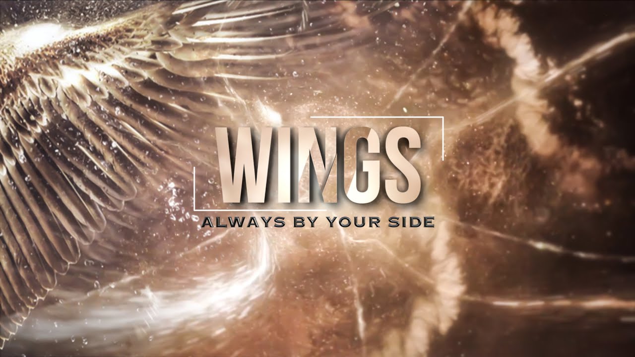 EXO 엑소 'Wings' Special Film【L-1485】Epic Aesthetic Edit//Happy EXOL Day ...
