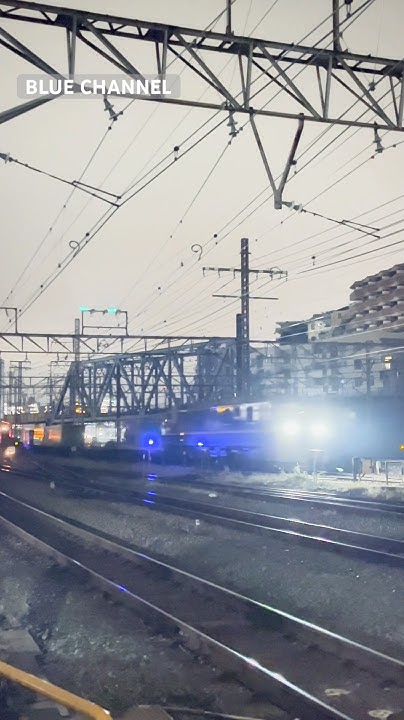 (貨物列車) 2024/11/17 2058レ EF210-360 + コキ20B カンガルーライナーSS60 (吹田タ〜陸前山王) #Shorts - YouTube