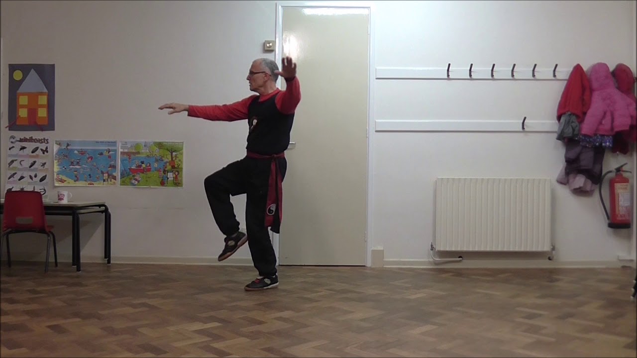 Practice Video 3: Li (Lee) Family Style Tai Chi Ch'uan : Sections 11 ...