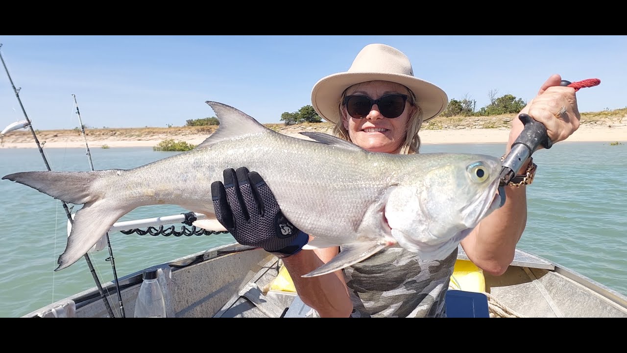 Karumba Fishing Best fighting Blue Salmon ever over 6mins to get in ...