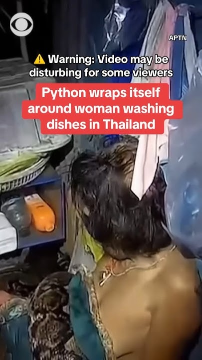 Python wraps itself around woman washing dishes in Thailand #shorts ...