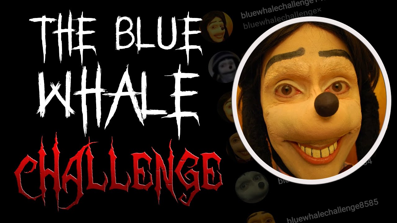 The Blue Whale Challenge - Creepypasta - YouTube