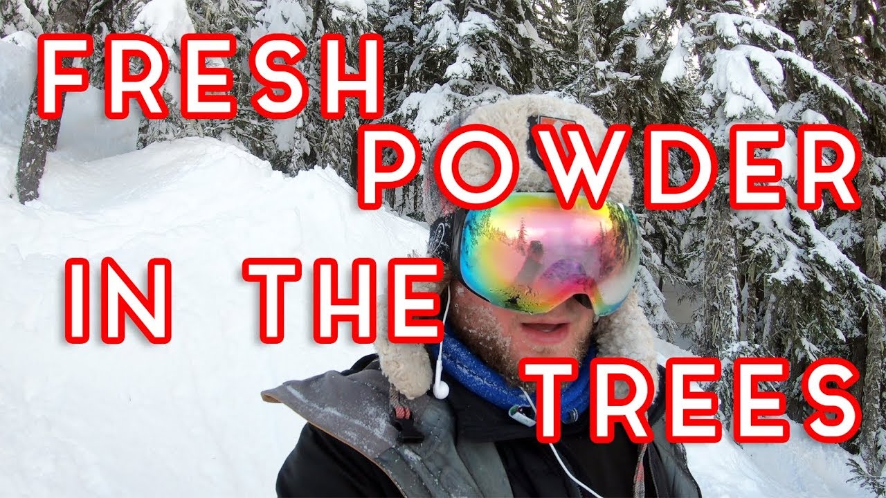 Vlog 23: Fresh Powder In the Trees - YouTube