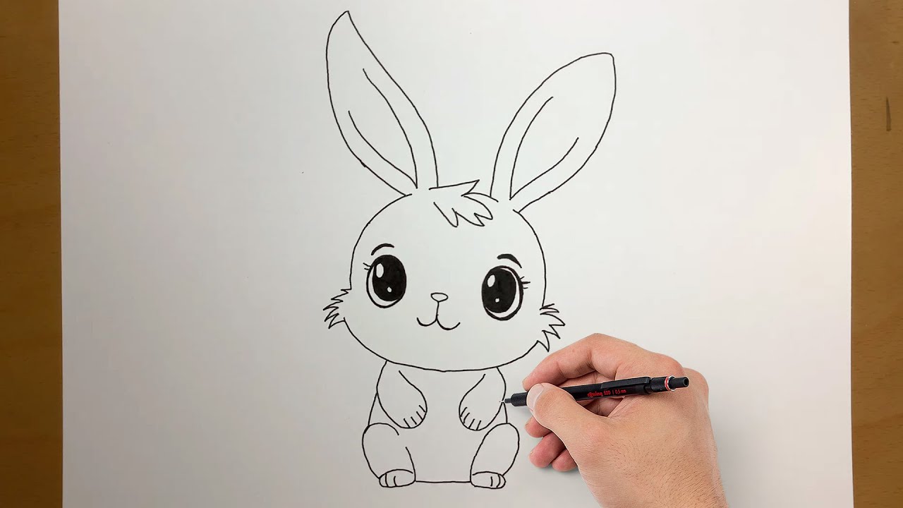 How To Draw A Cute Bunny Easy Step By Step Tutorial - YouTube