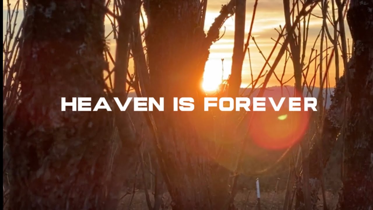 Heaven Is Forever - YouTube