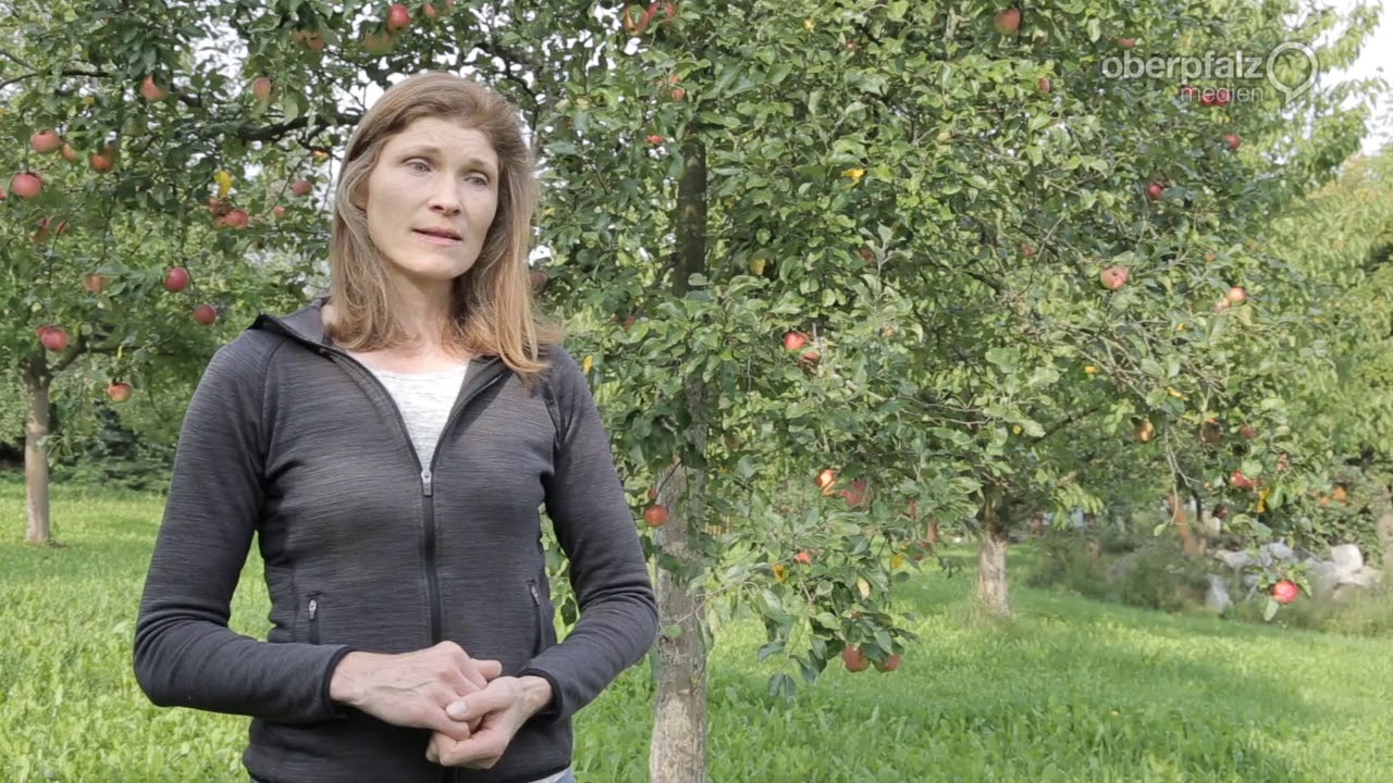 Tipps von Maria Bernhard zur Apfelernte - YouTube