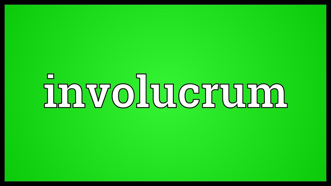 Involucrum Meaning - YouTube