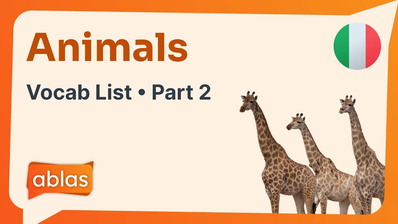 Animals | Italian Vocabulary List (Part 2) - YouTube