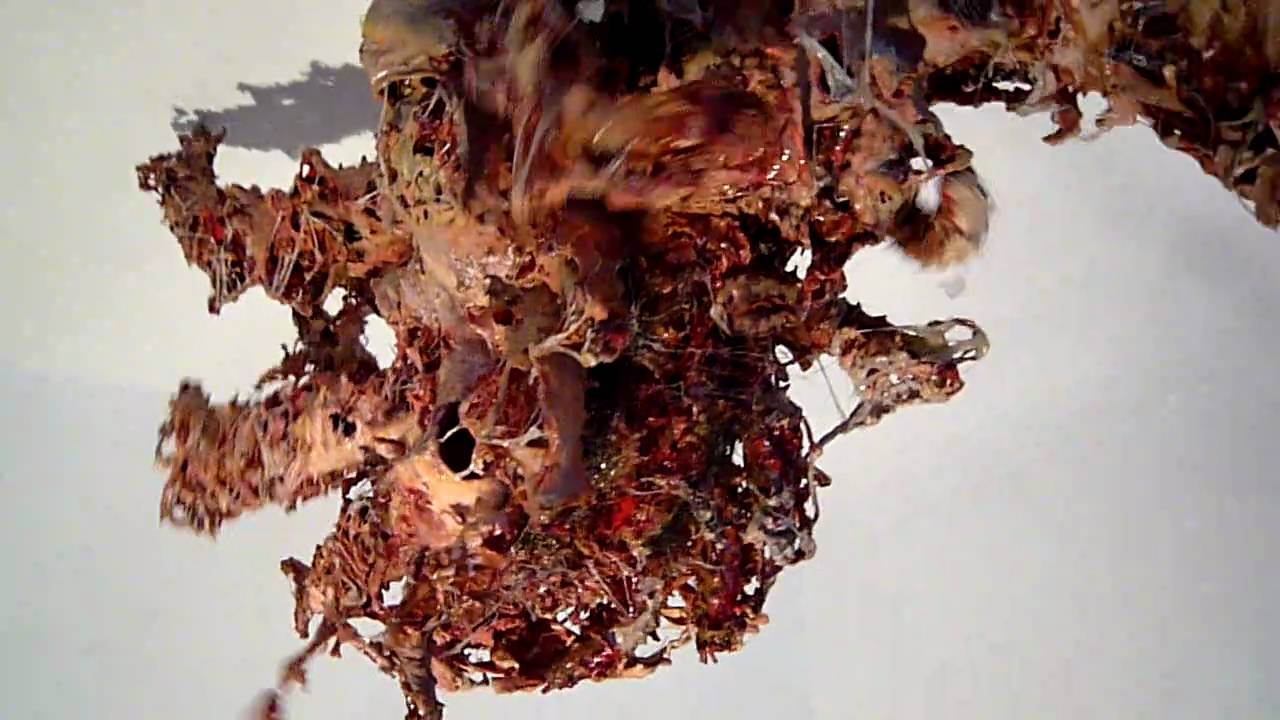 Micha Lipka - Richard Kalich - YouTube