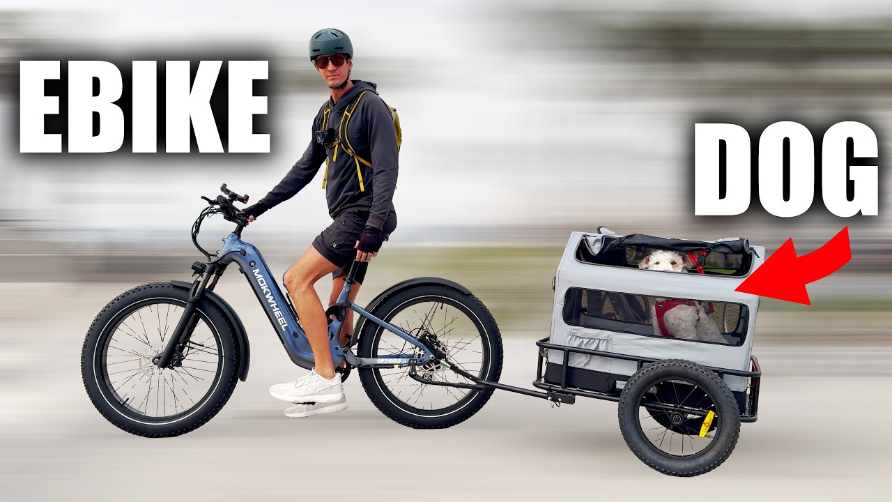 I Tried a Dog Trailer On My 1000 Watt Ebike... Here's What Happened ...