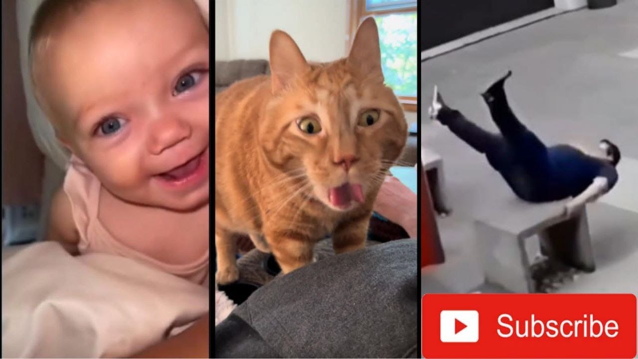 Tiktoks For Endless Laughter - Funny Compilation 🤗 NEW MEME - YouTube